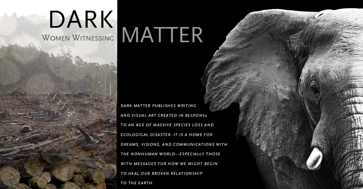 REMEMBERING BARBARA MOR (1936—2015)* – Dark Matter Women WItnessing